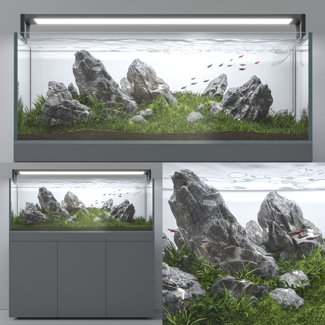 Aquascape Aquarium Iwagumi 3D Model - TurboSquid 2004416