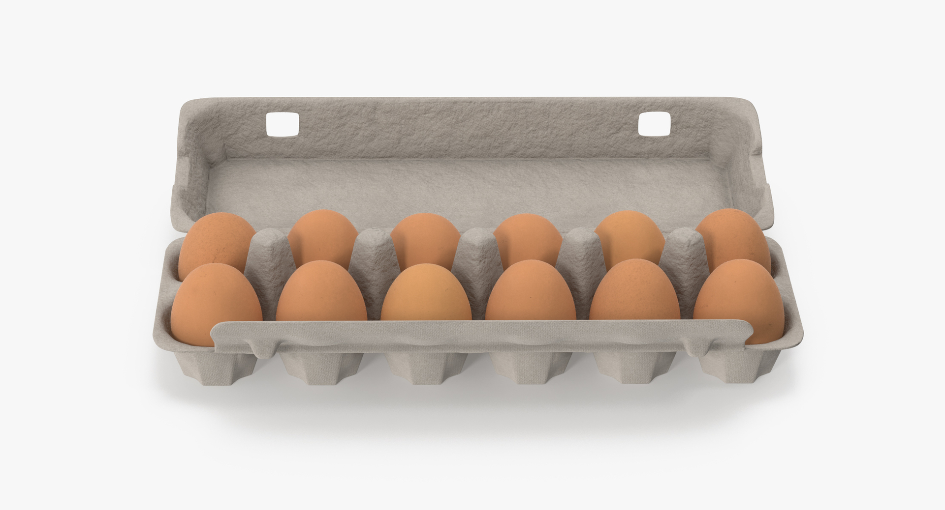 max egg container 01 open