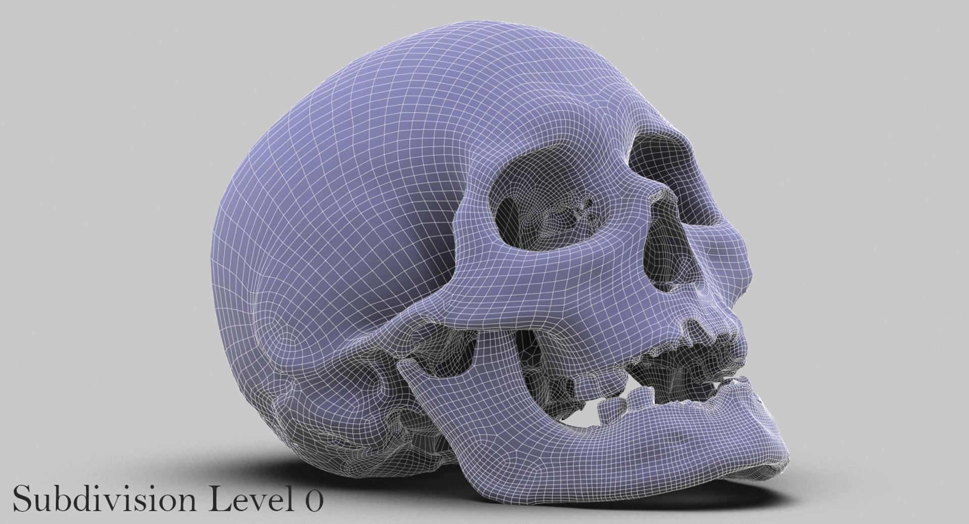 3D scan real human skull - TurboSquid 1364489