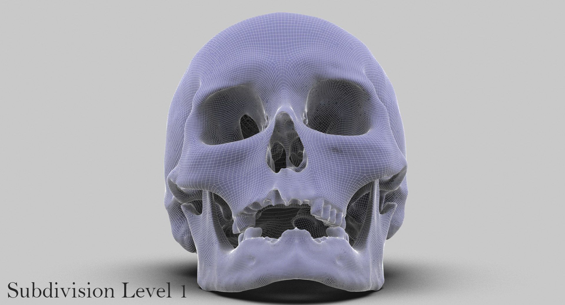 3D scan real human skull - TurboSquid 1364489