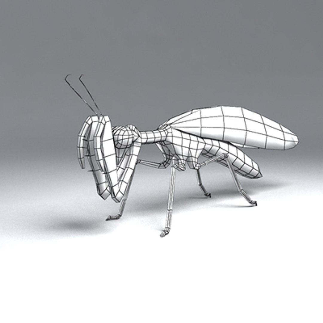 Mantispid Insect Mantid 3d 3ds