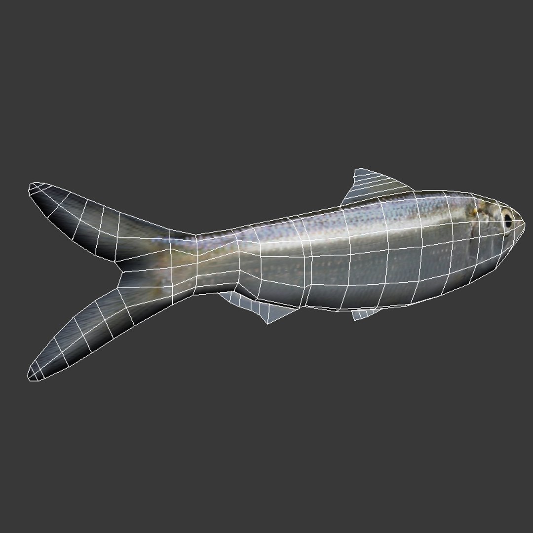 3d max herring blender