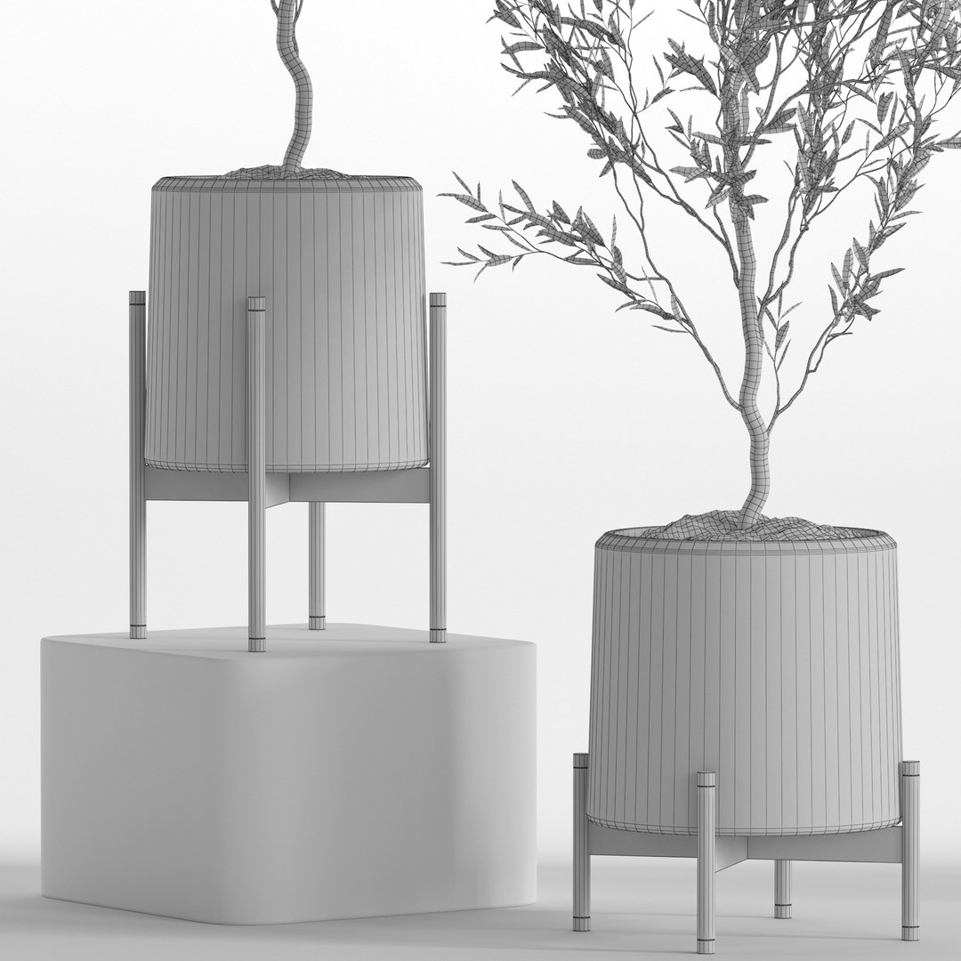 Plants Collection 749 Model - TurboSquid 1936835