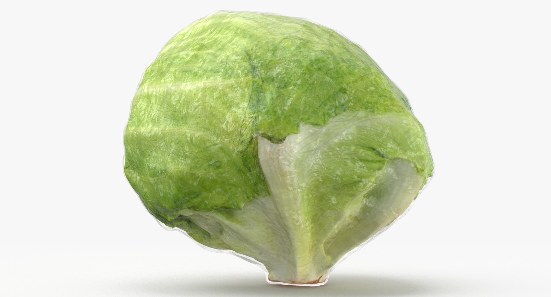 Lettuce Collection 03 - 3 models 3D - TurboSquid 1876637