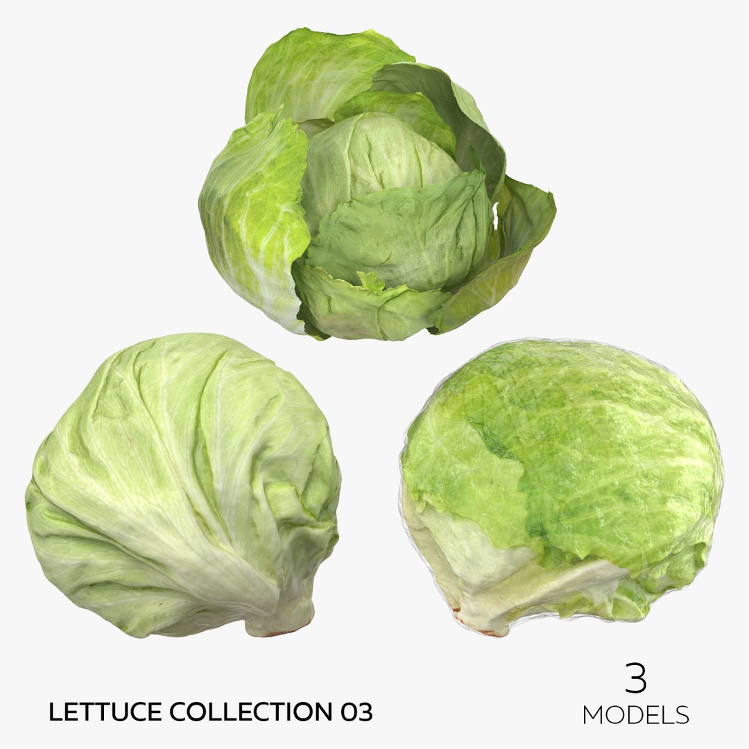 Lettuce Collection 03 - 3 models 3D - TurboSquid 1876637