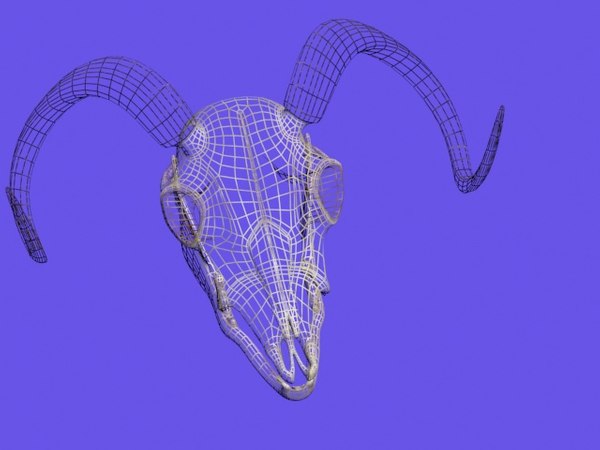 Ram skull model - TurboSquid 1588892