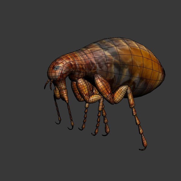 flea 3d 3ds