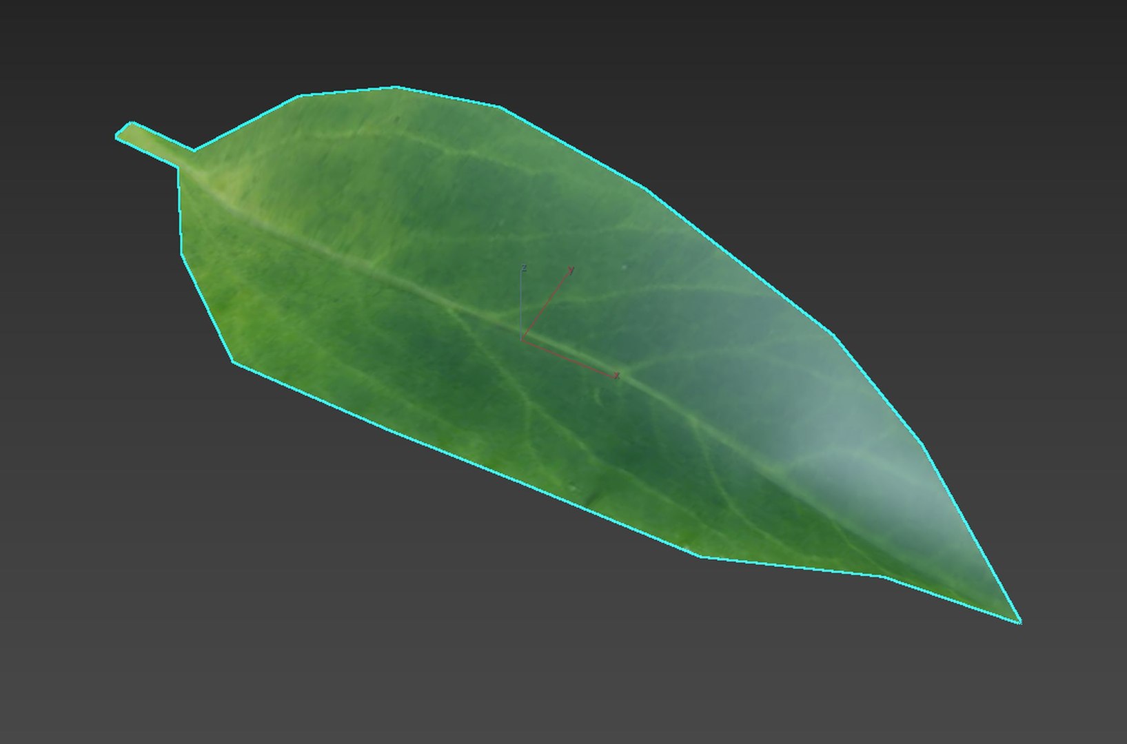 3D animated leaves blowing in the wing - TurboSquid 2052547