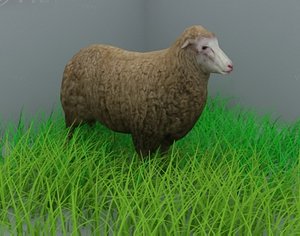 Sheep 3D Models for Download | TurboSquid