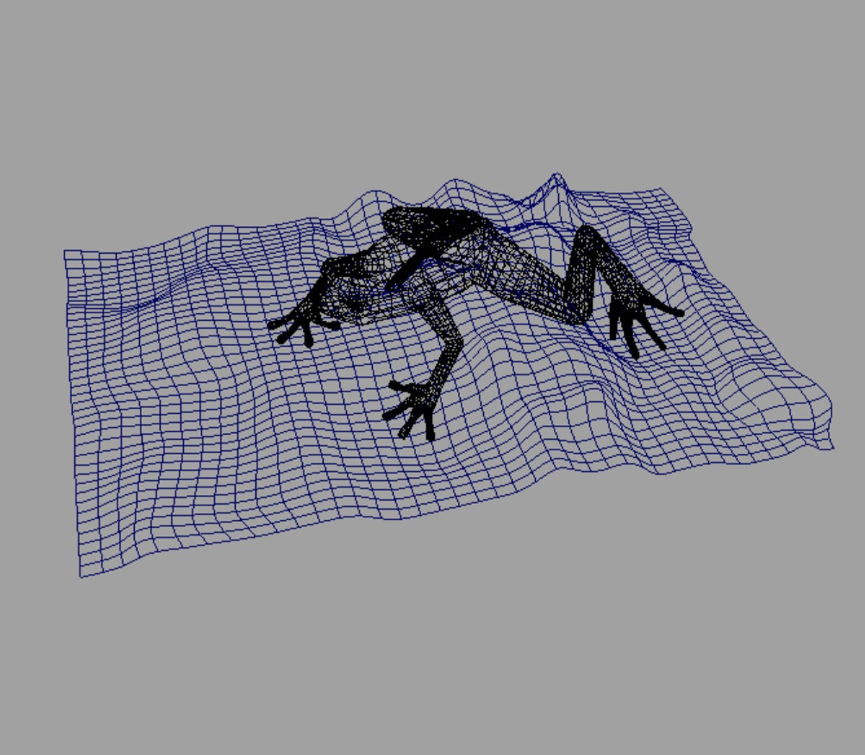 colorful poison dart frog 3d model