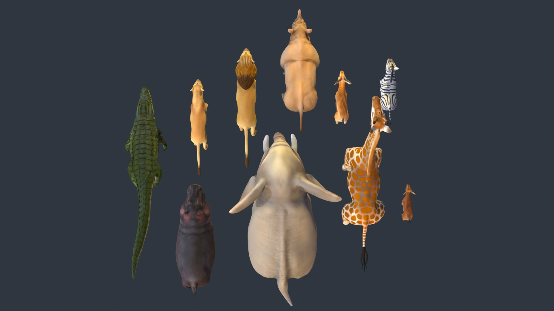 African Safari Savannah Animals Essential Pack Rigged Animated Collection 3D Model - TurboSquid ...