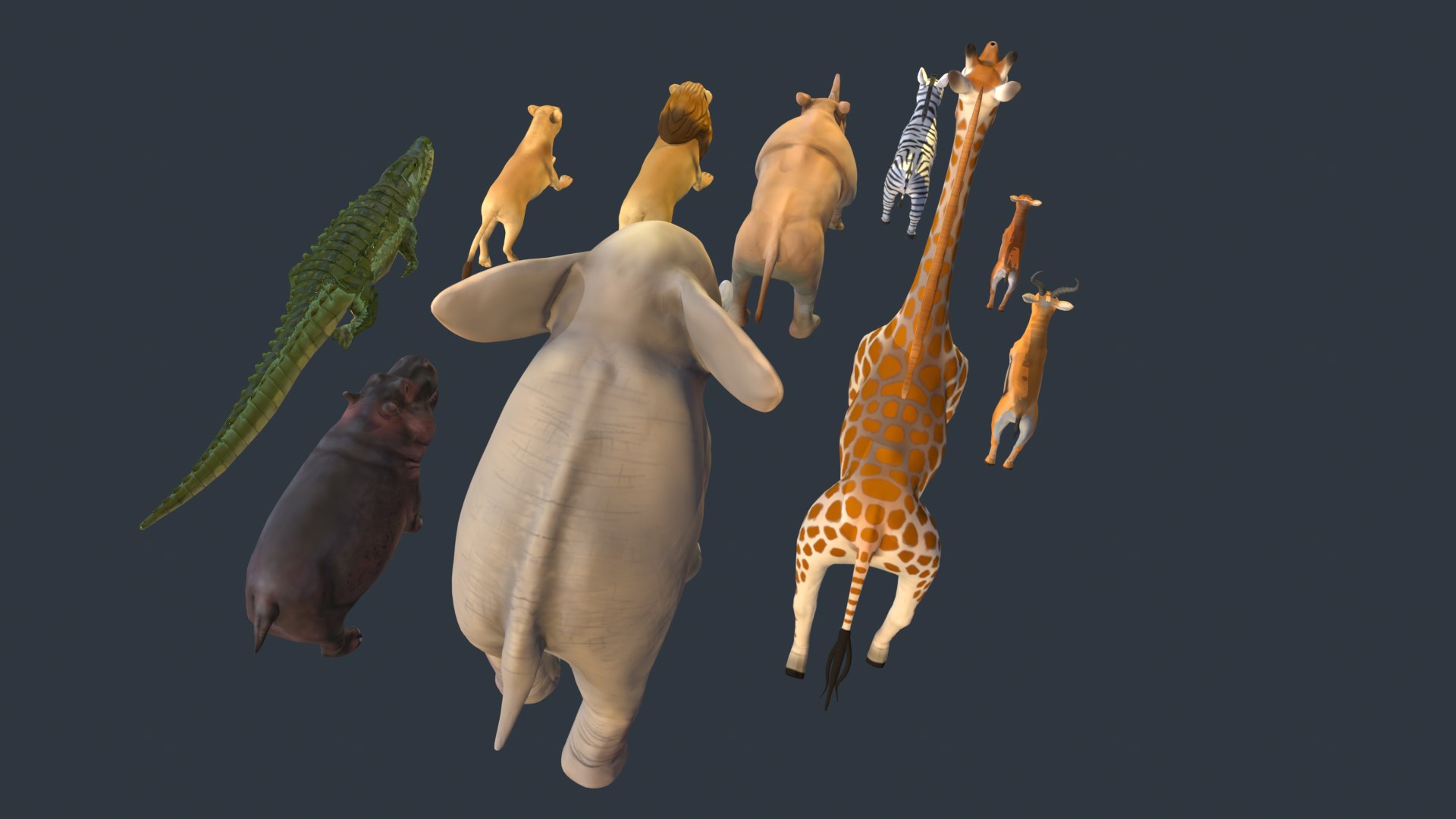 African Safari Savannah Animals Essential Pack Rigged Animated Collection 3D Model - TurboSquid ...