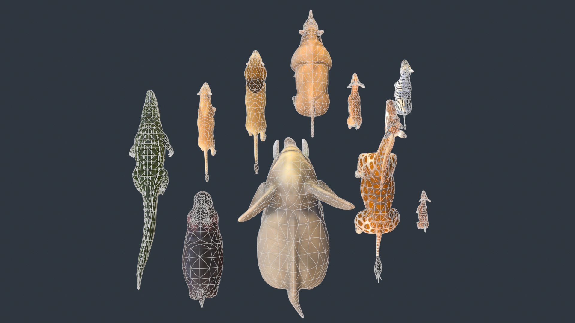 African Safari Savannah Animals Essential Pack Rigged Animated ...