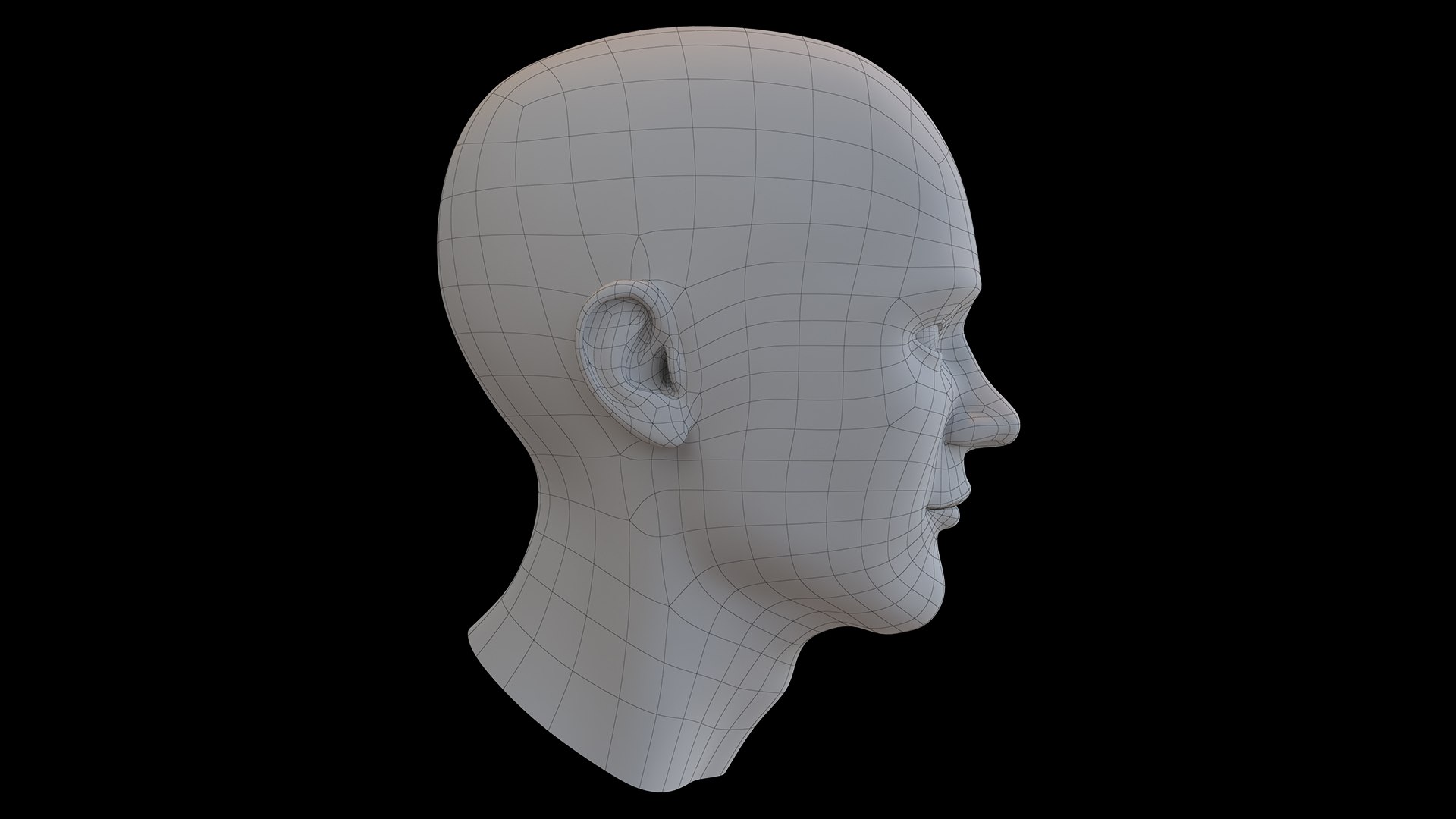 Human Head 3D Model - TurboSquid 1718184
