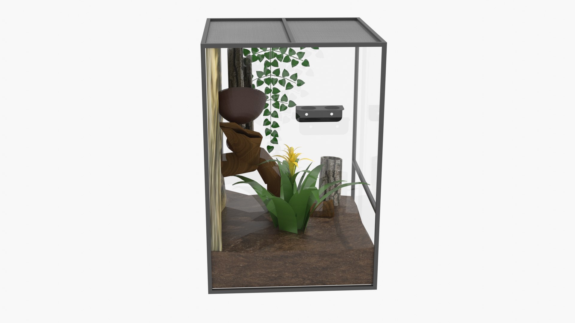 Terrrarium 30x30x45cm decorated 3D model - TurboSquid 1775709