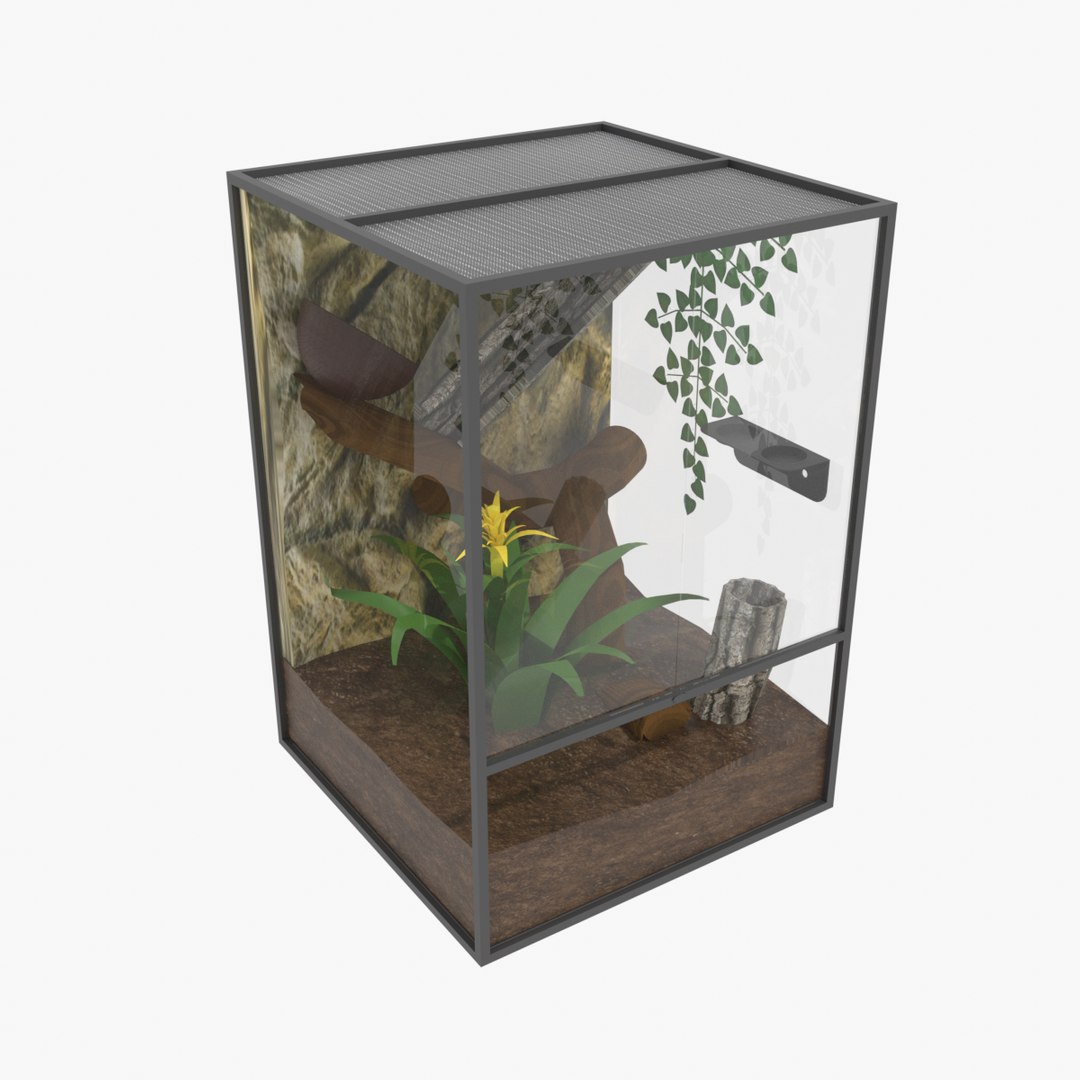 Terrrarium 30x30x45cm decorated 3D model - TurboSquid 1775709