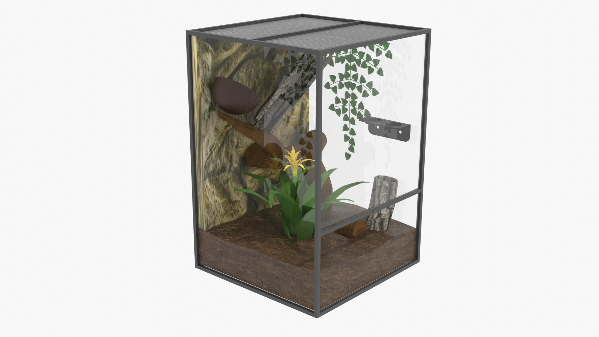 Terrrarium 30x30x45cm decorated 3D model - TurboSquid 1775709