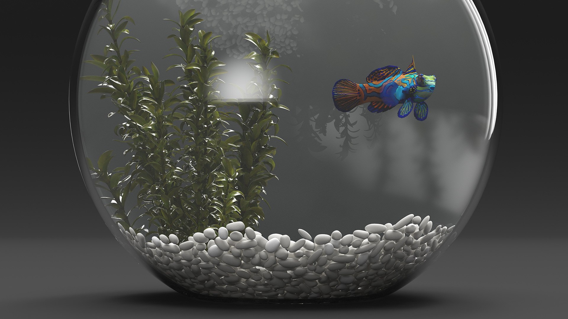 Round Aquariums With Fishes Collection 3D Model - TurboSquid 2151383