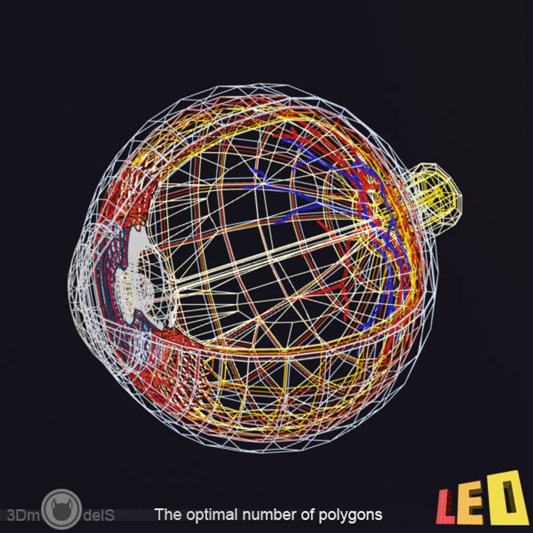 3d anatomy eye model