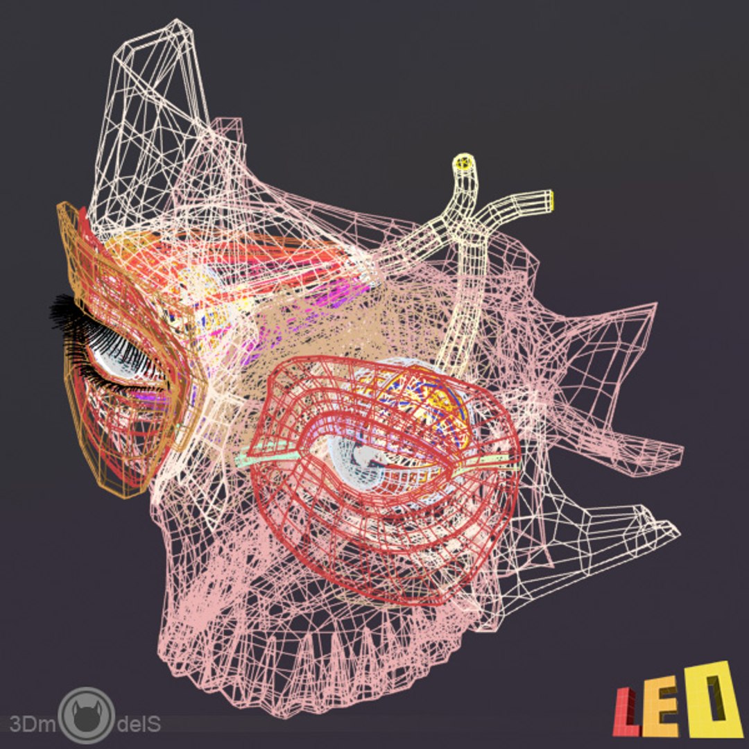 3d anatomy eye model