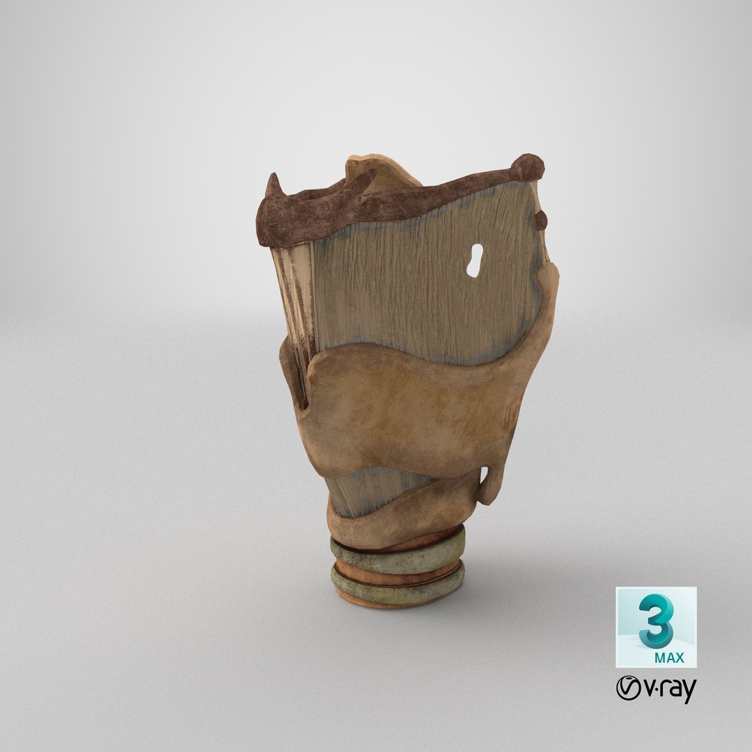 3D larynx - TurboSquid 1560652