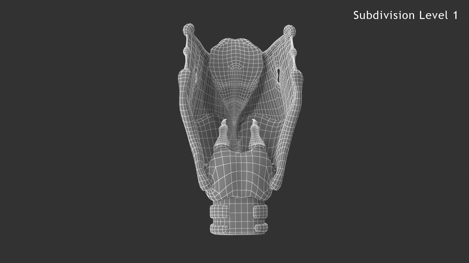 3D Larynx - TurboSquid 1560652