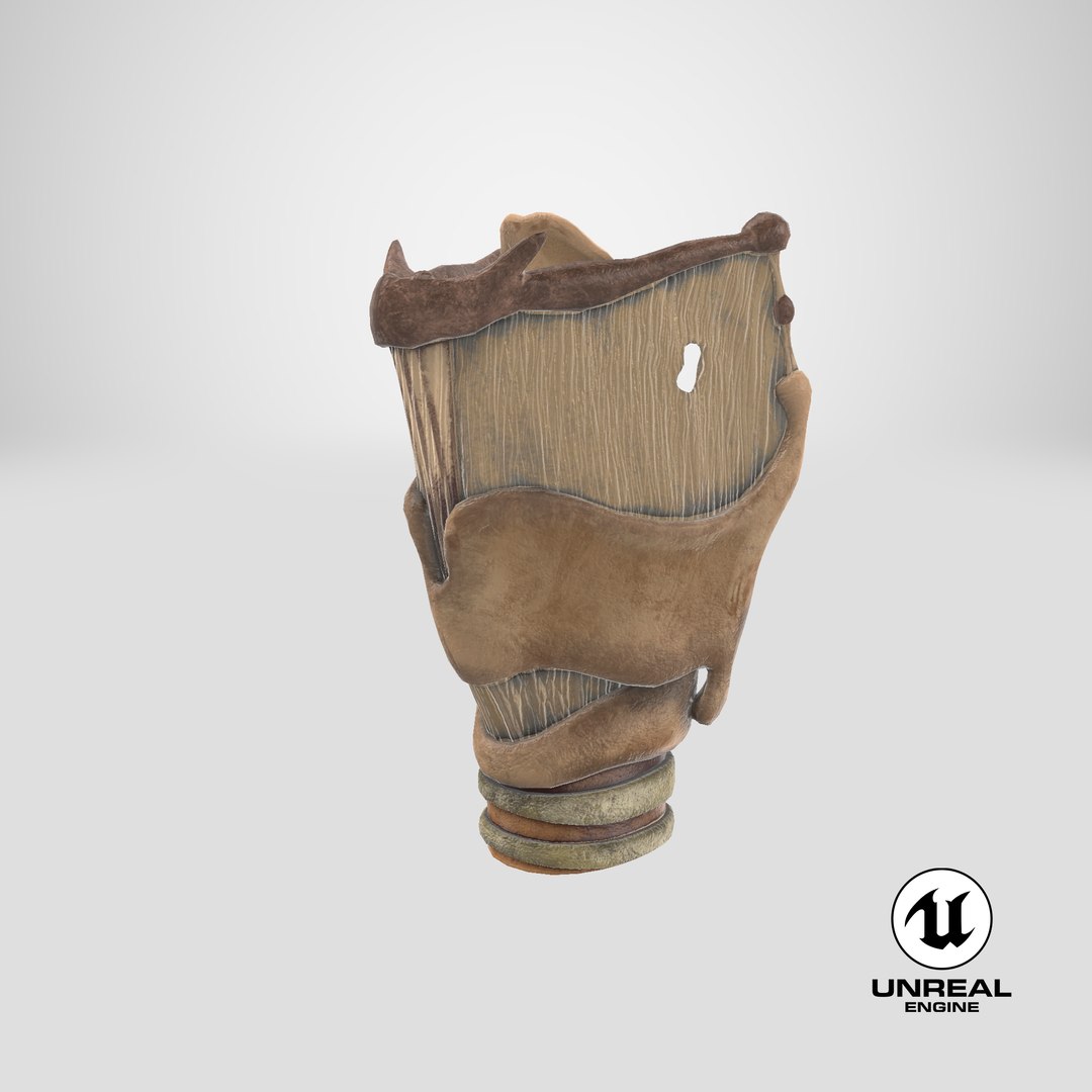 3D Larynx - TurboSquid 1560652