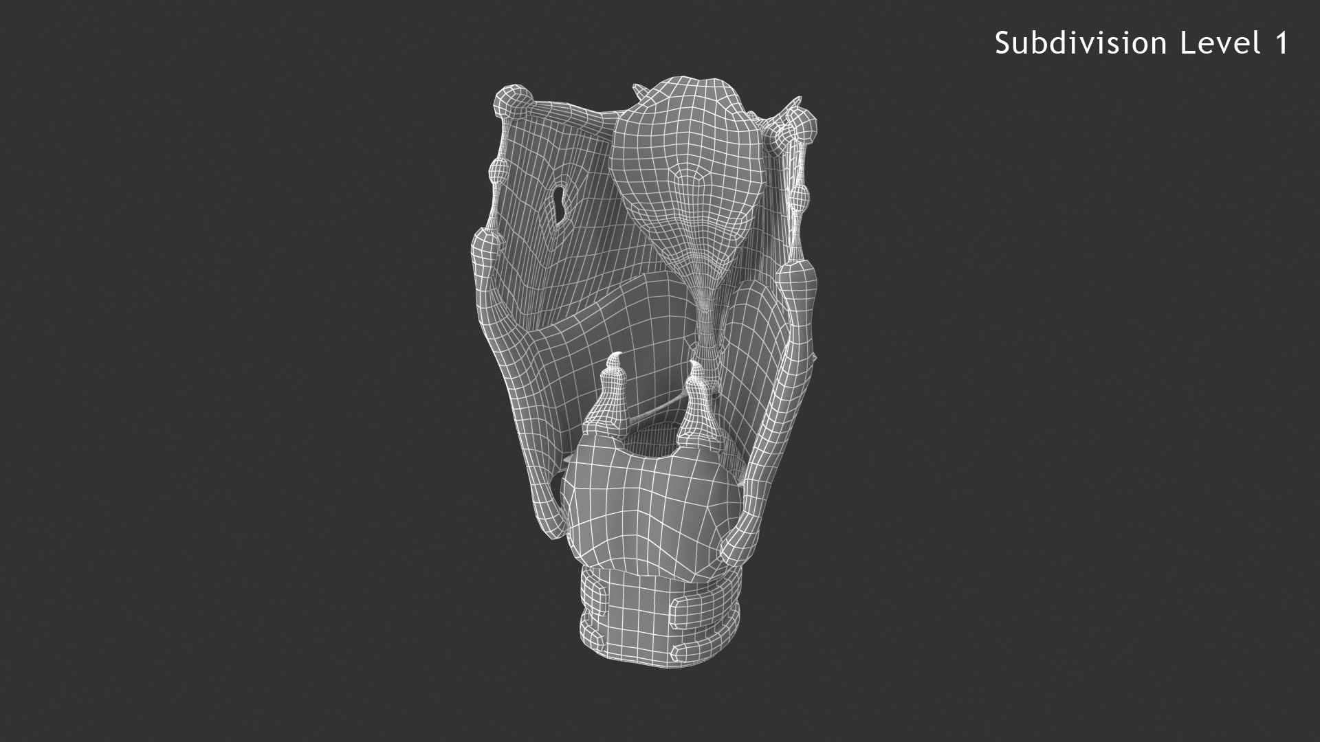 3D Larynx - TurboSquid 1560652
