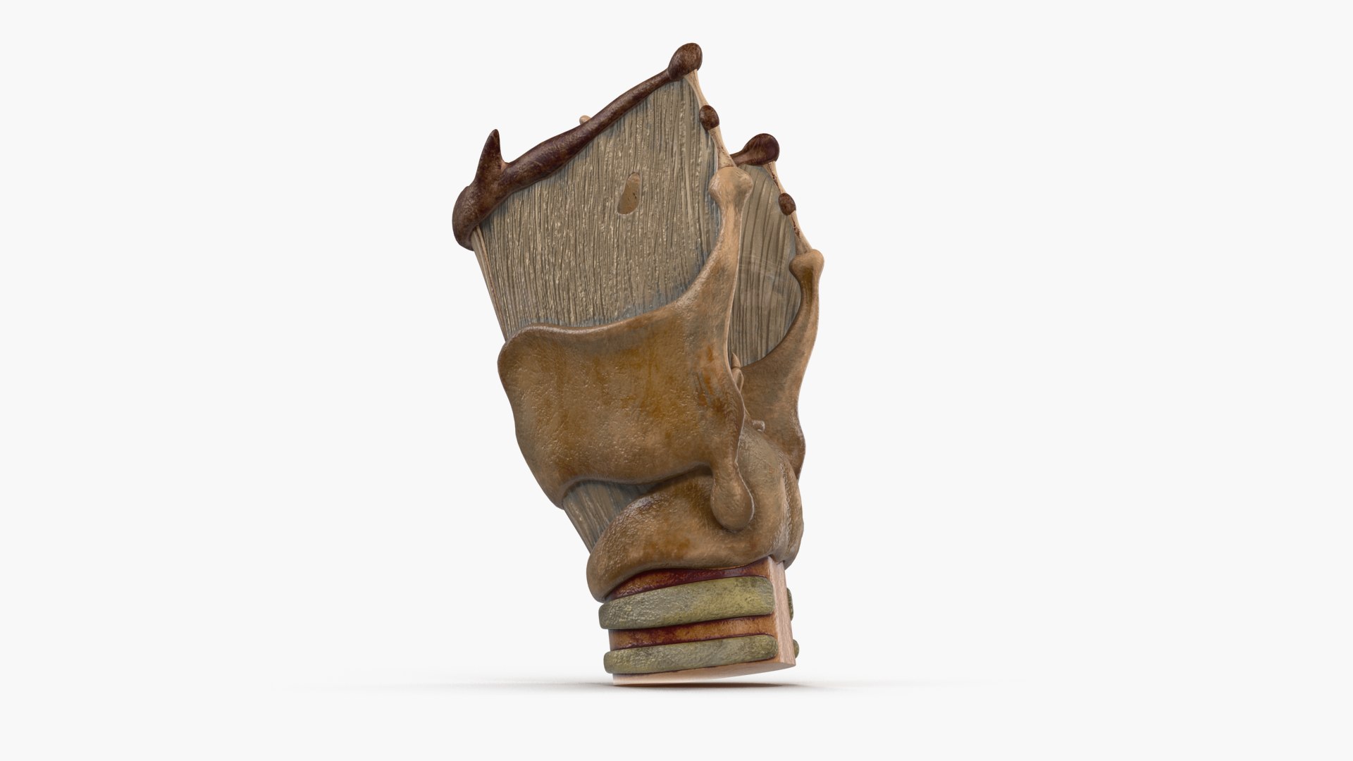 3D Larynx - TurboSquid 1560652