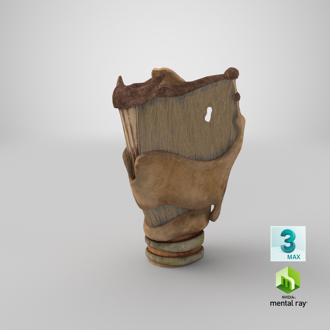 3D Larynx - TurboSquid 1560652