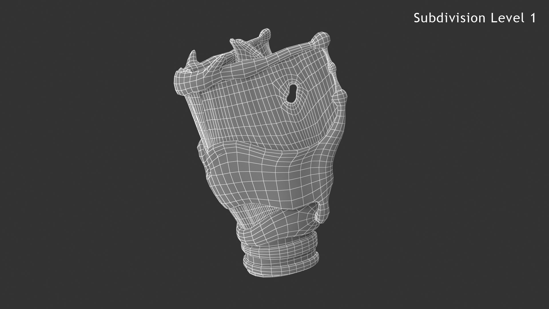 3D Larynx - TurboSquid 1560652