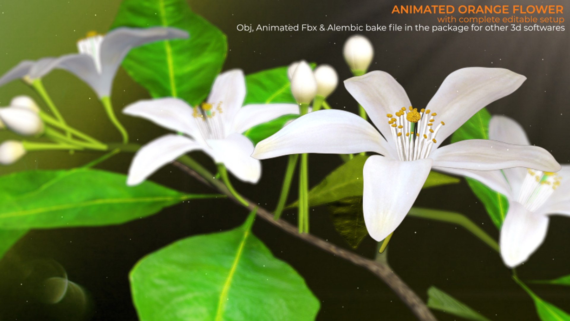 3D Model Animated Orange Tree Flower - TurboSquid 2271847