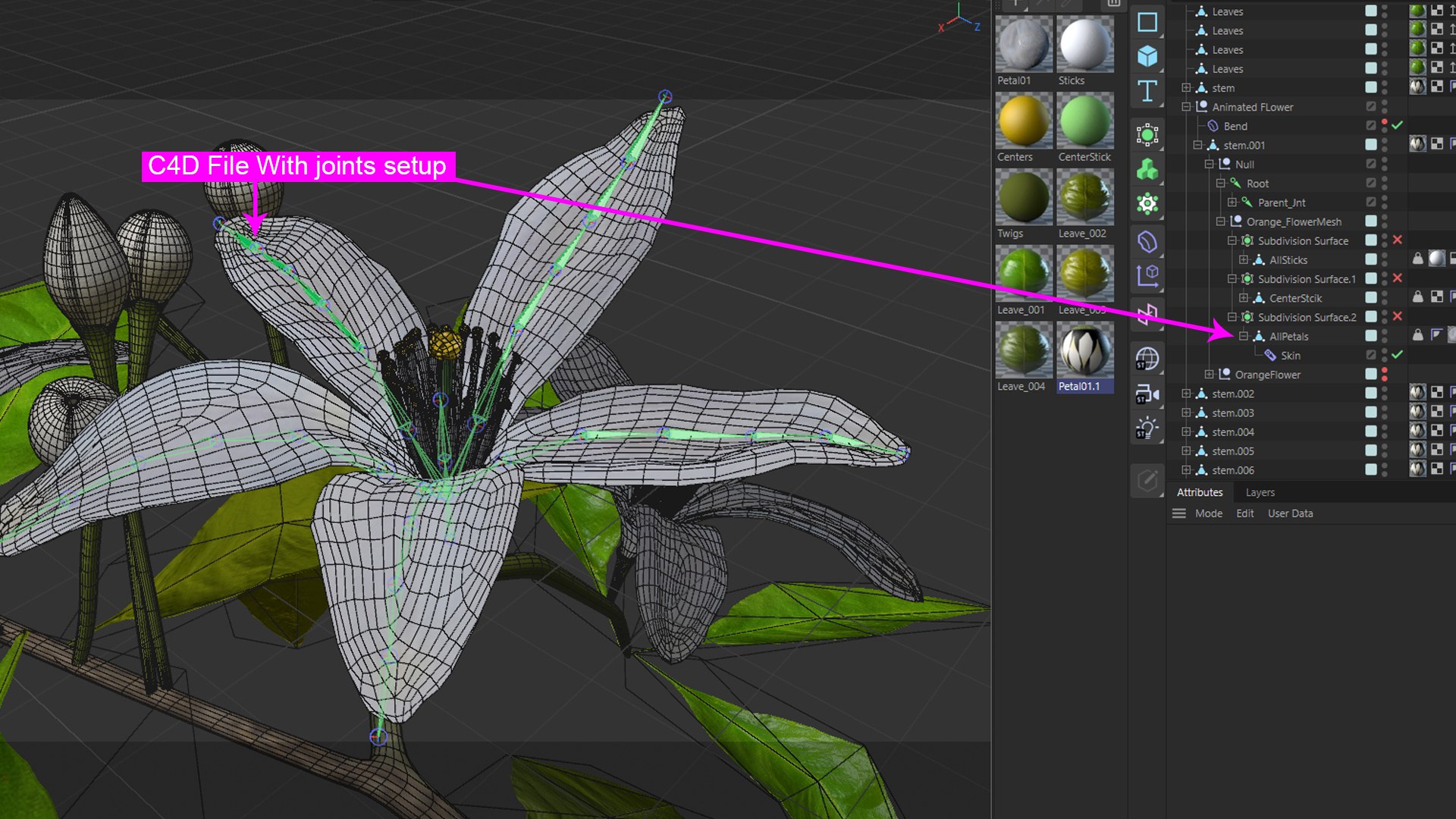 3D Model Animated Orange Tree Flower - TurboSquid 2271847