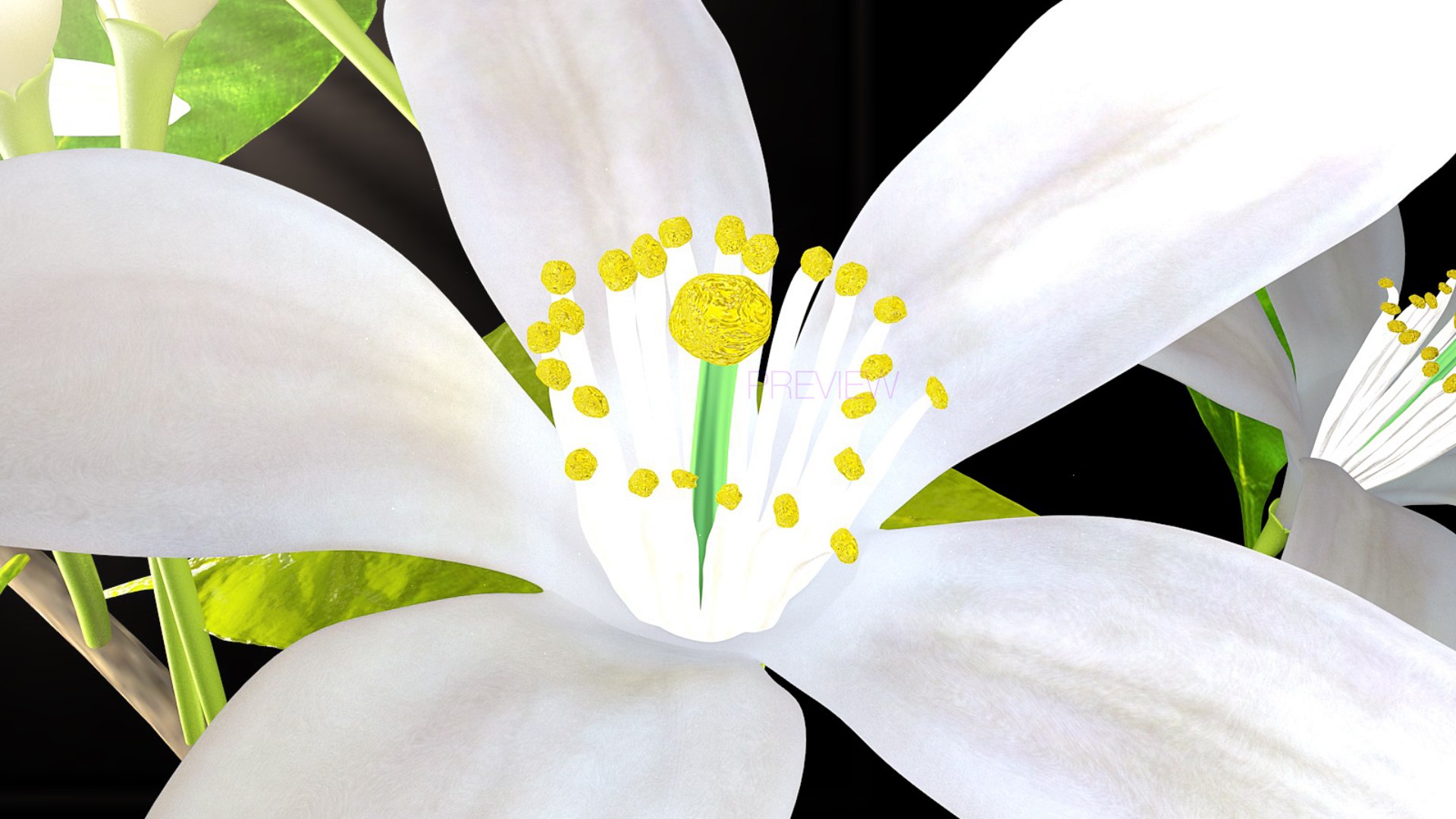 3D Model Animated Orange Tree Flower - TurboSquid 2271847