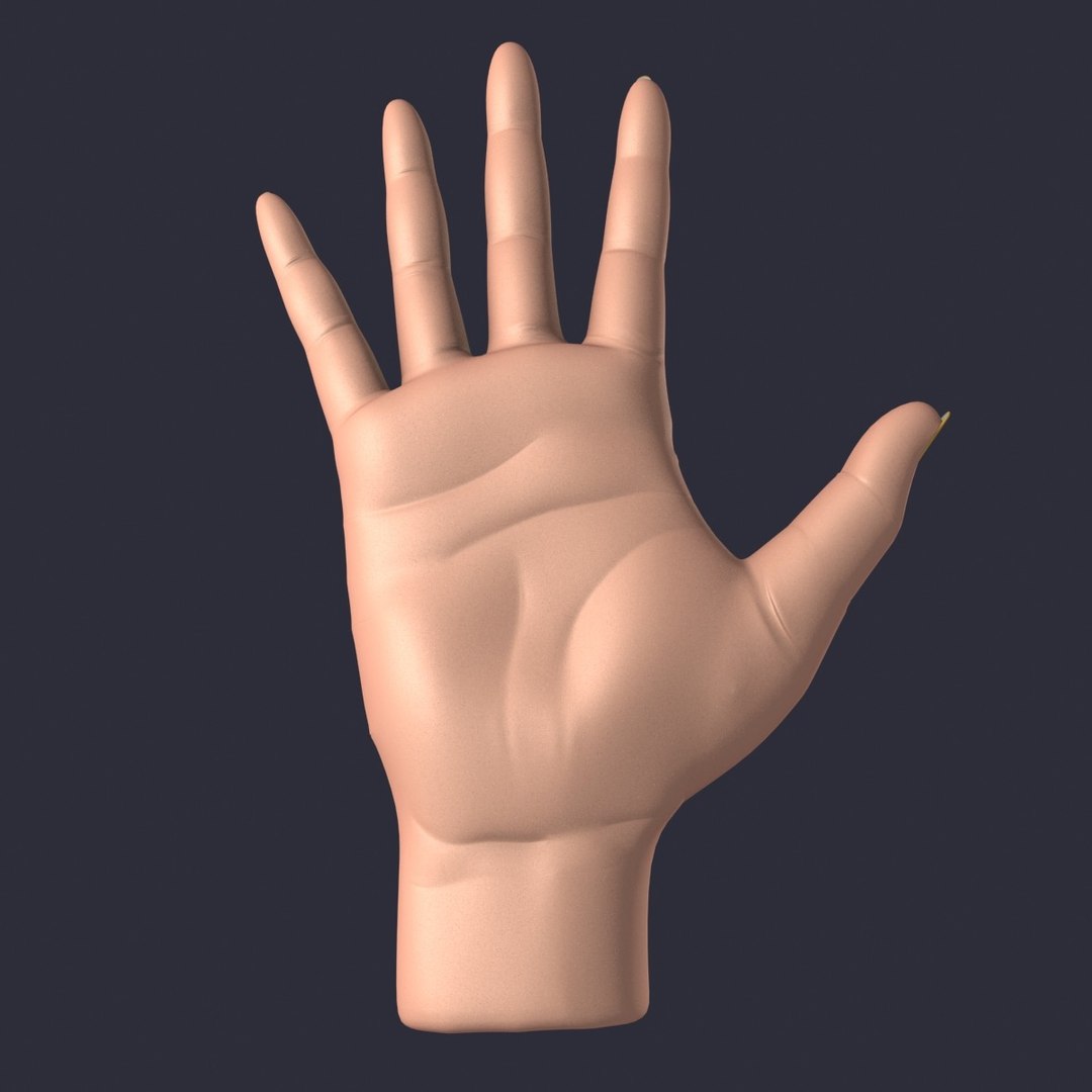 Realistic Female Hand 3d Model