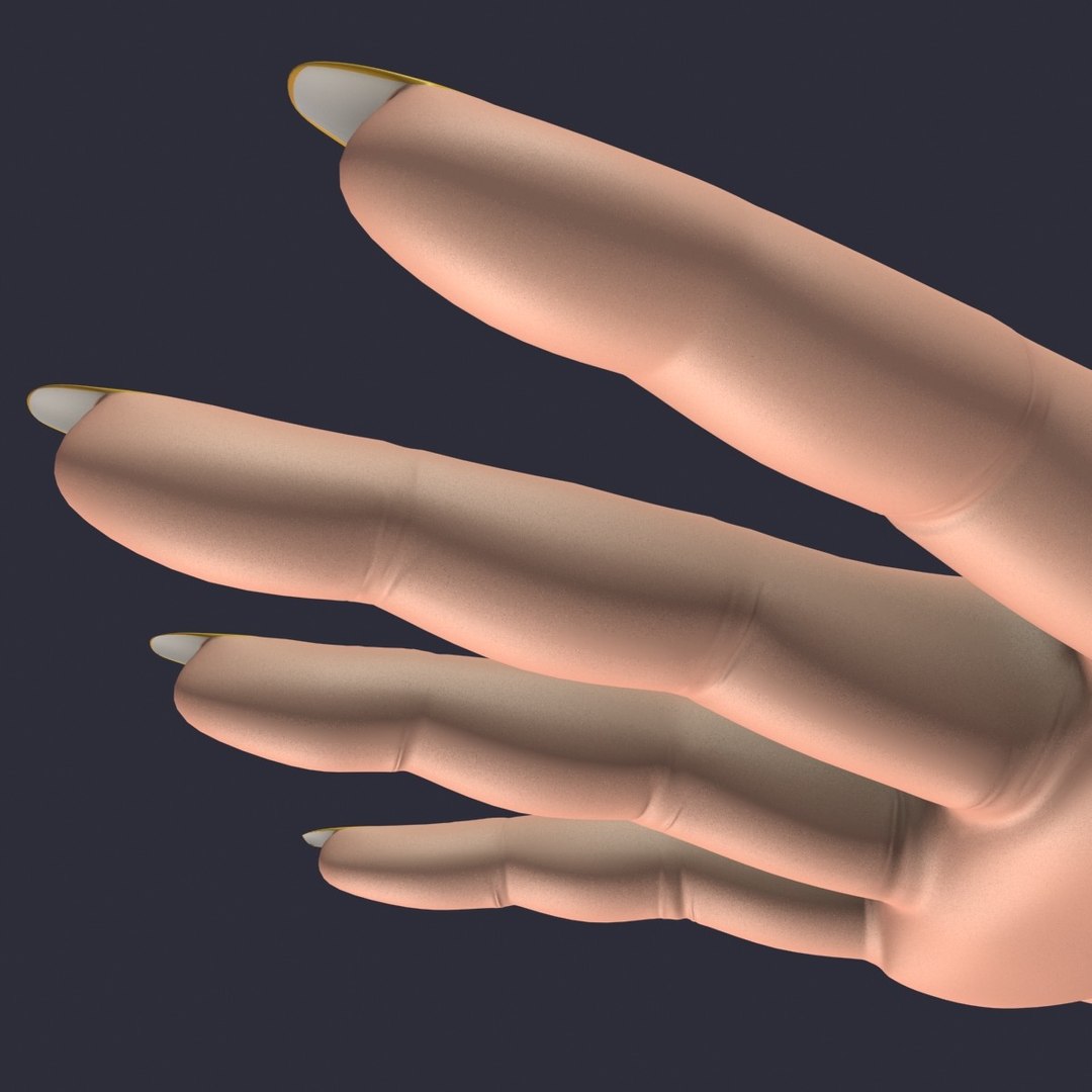 Realistic Female Hand 3d Model