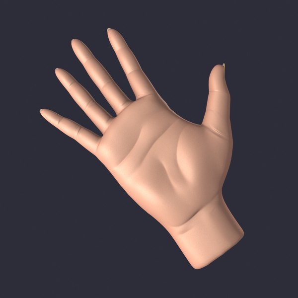 realistic female hand 3d model