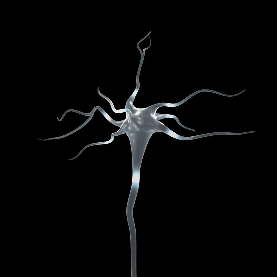 Neuron 3D - TurboSquid 1313539