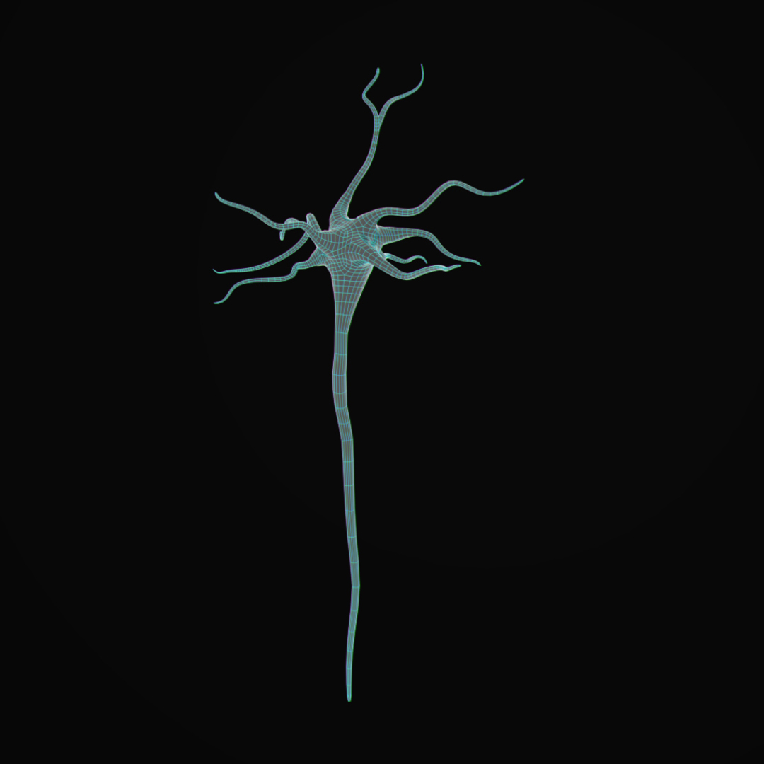 Neuron 3D - TurboSquid 1313539