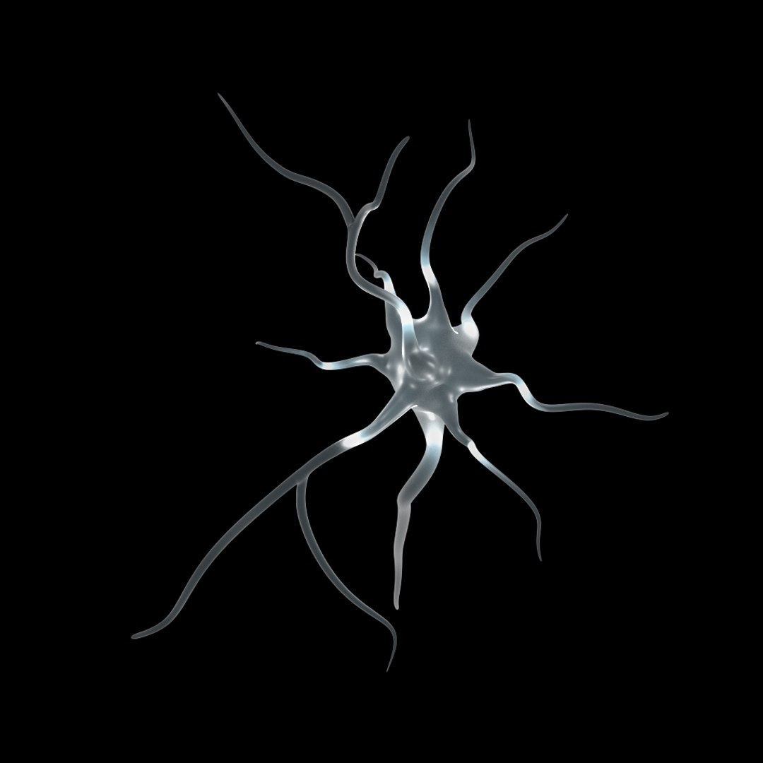 Neuron 3D - TurboSquid 1313539