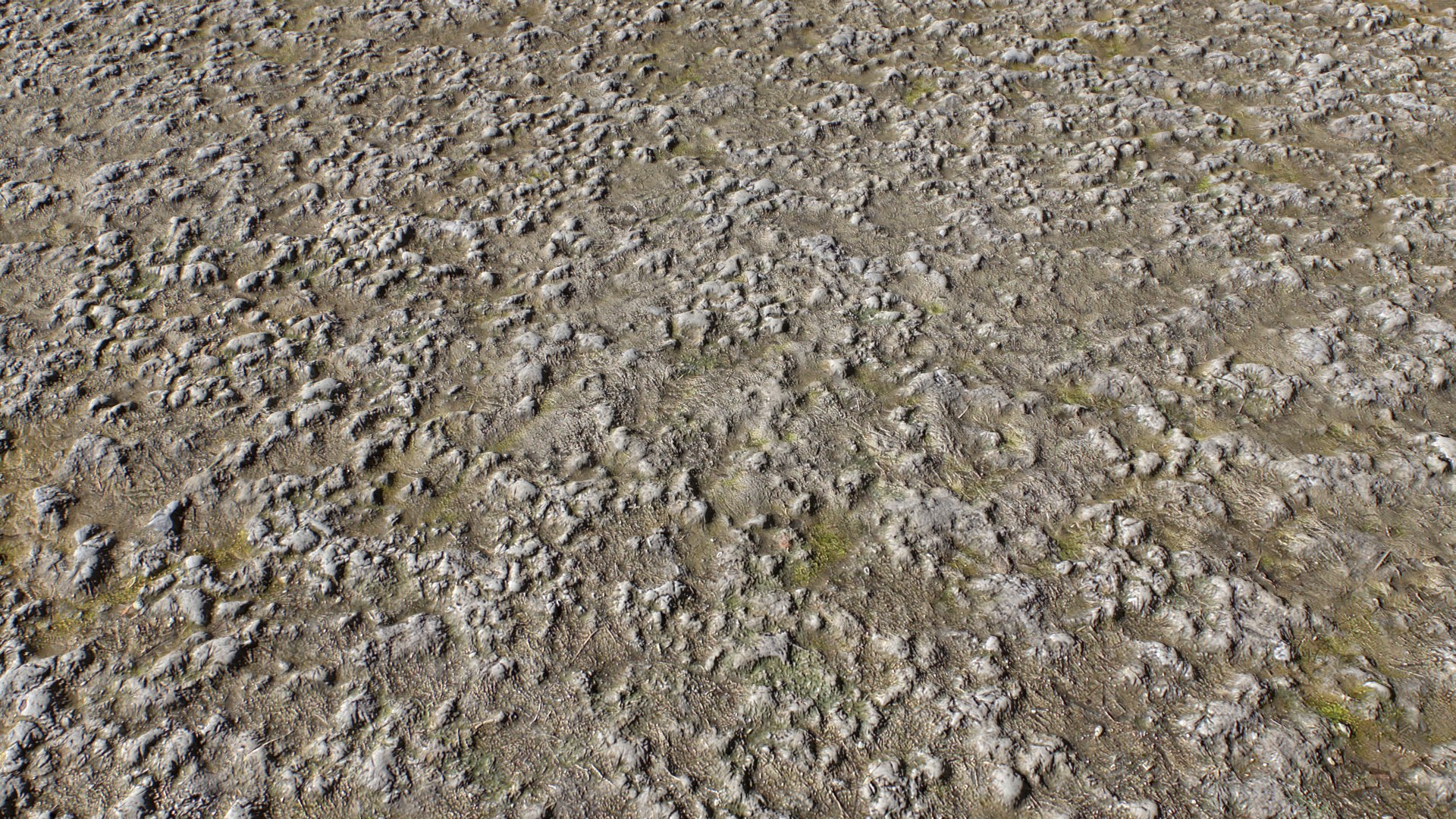Rocky Ground PBR 6 3D - TurboSquid 1806590
