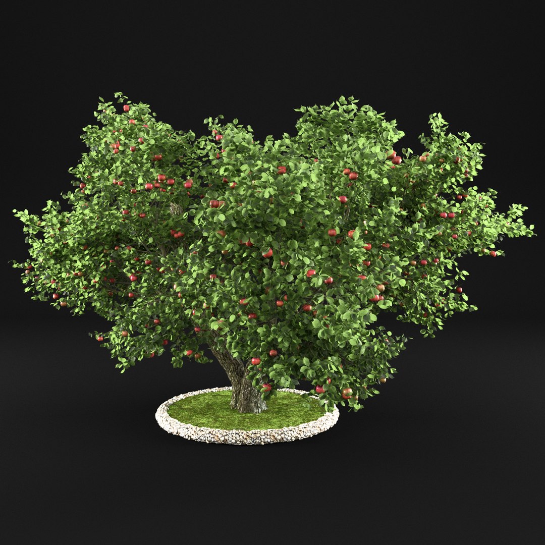 3D Apple Tree - TurboSquid 1159267