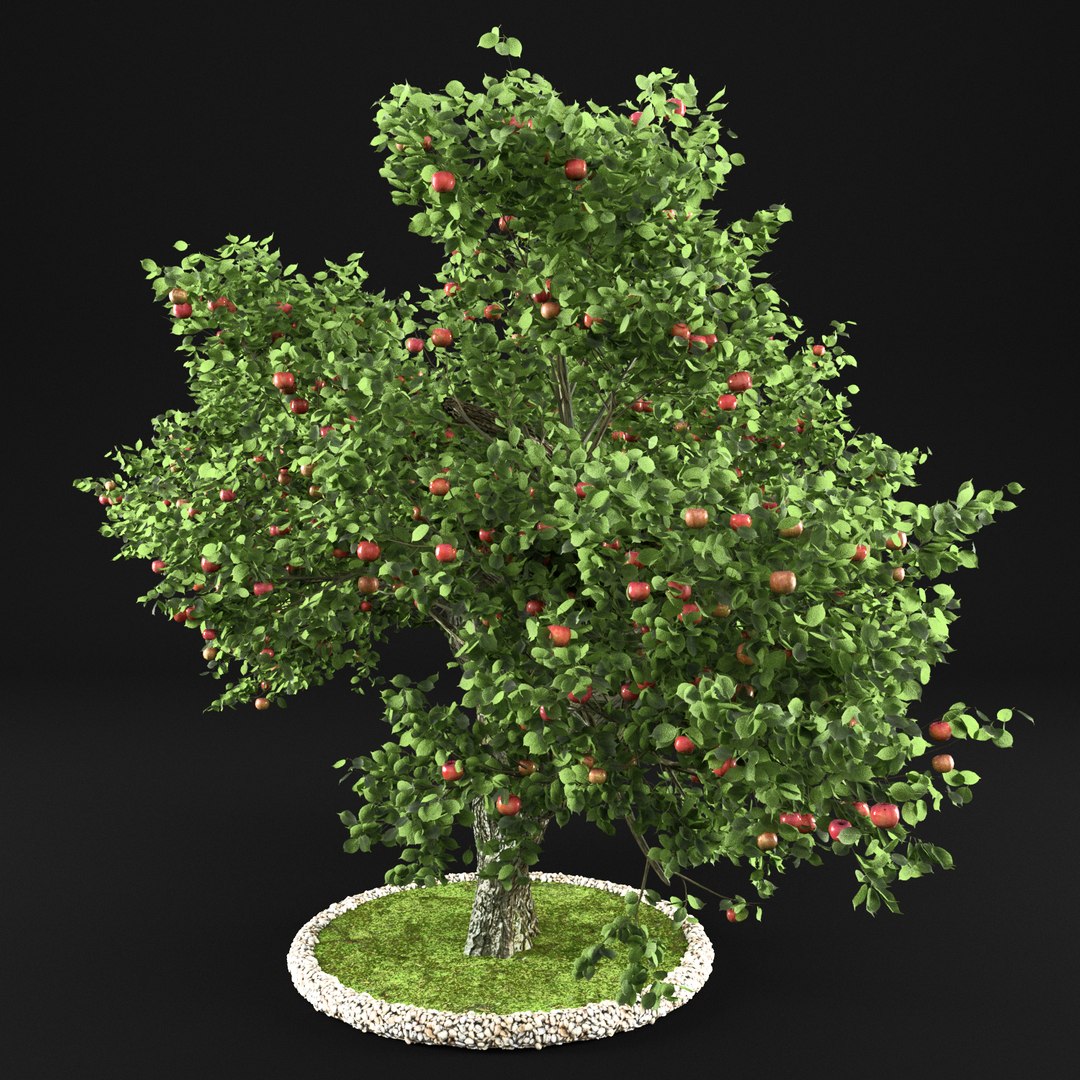 3D Apple Tree - TurboSquid 1159267