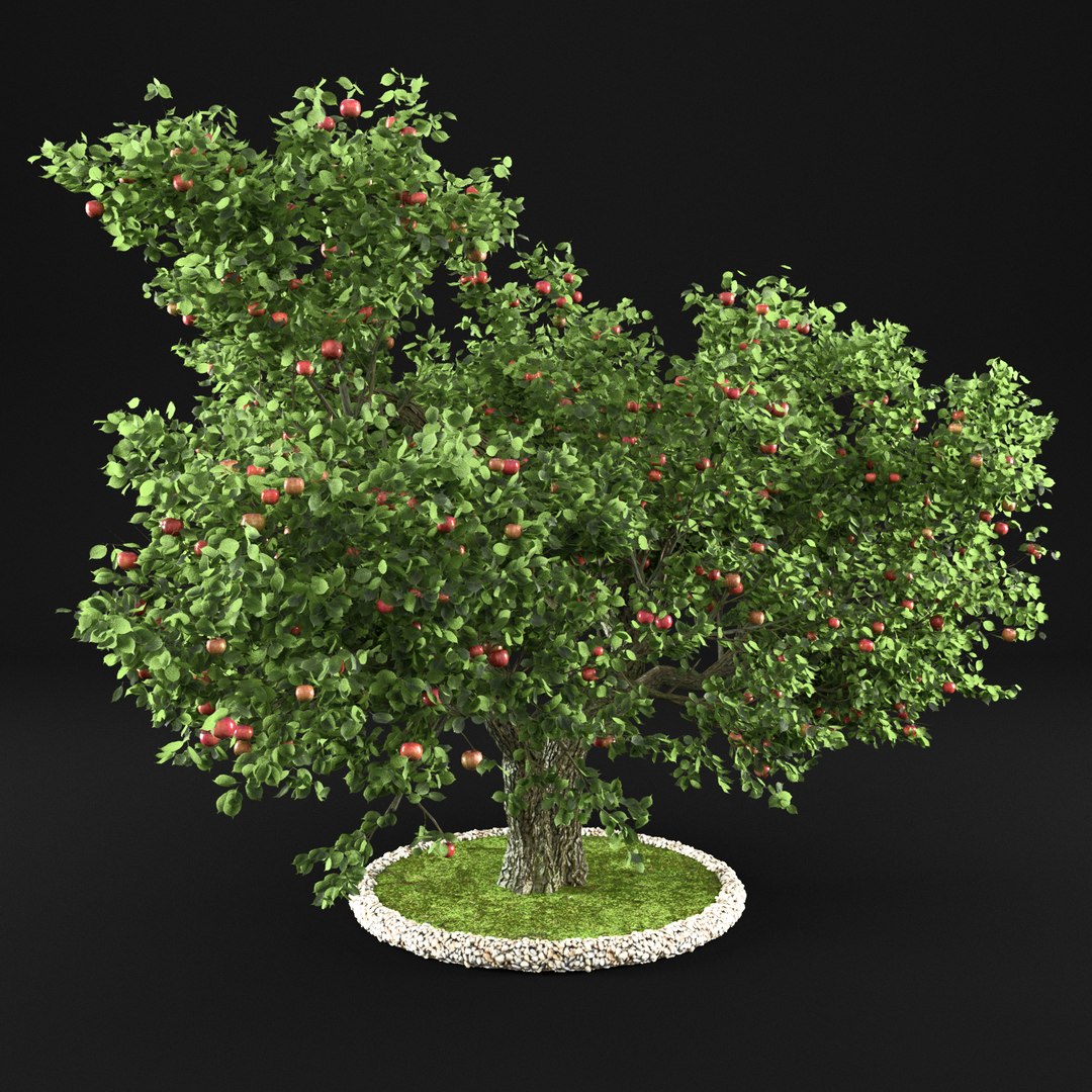 3D Apple Tree - TurboSquid 1159267
