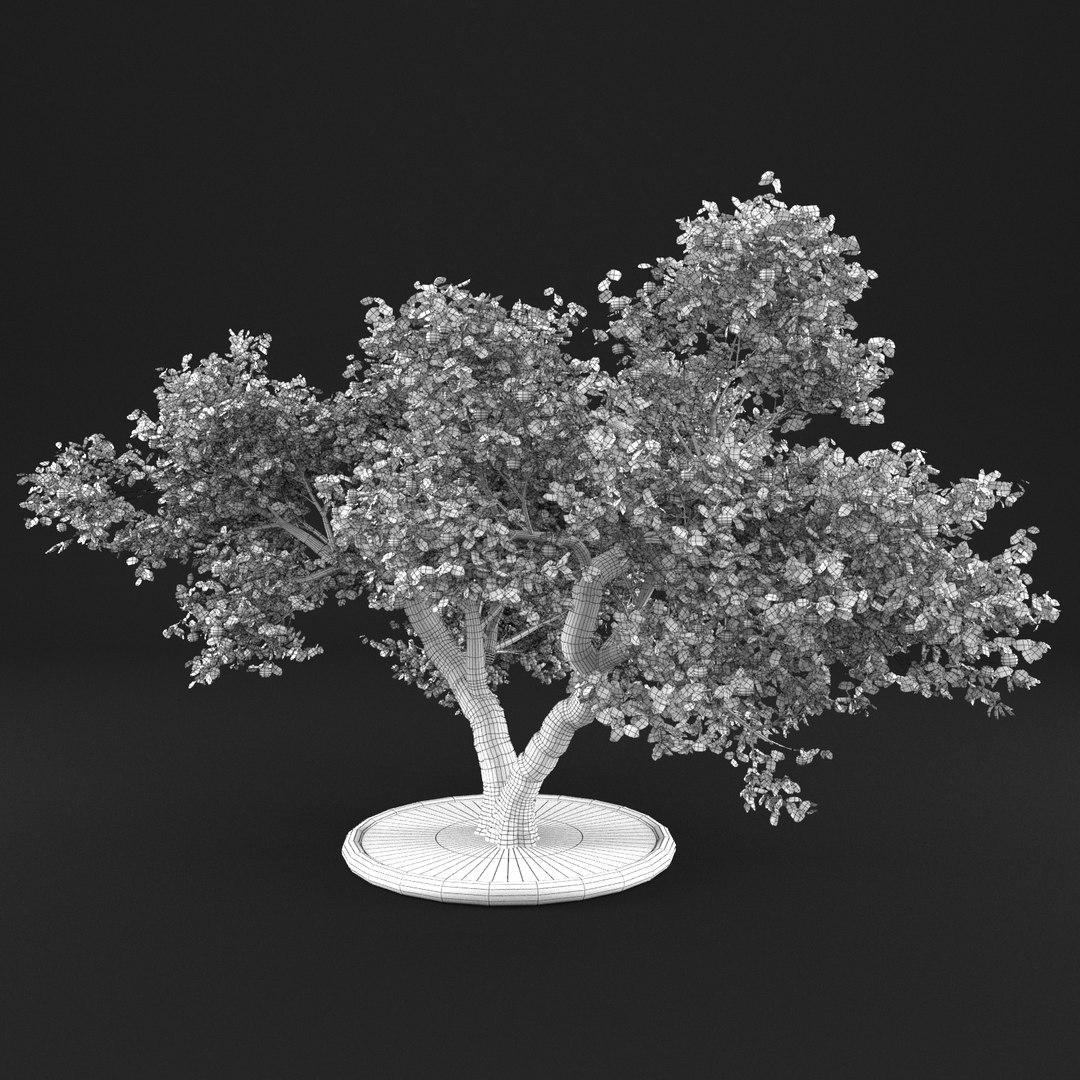 3D Apple Tree - TurboSquid 1159267