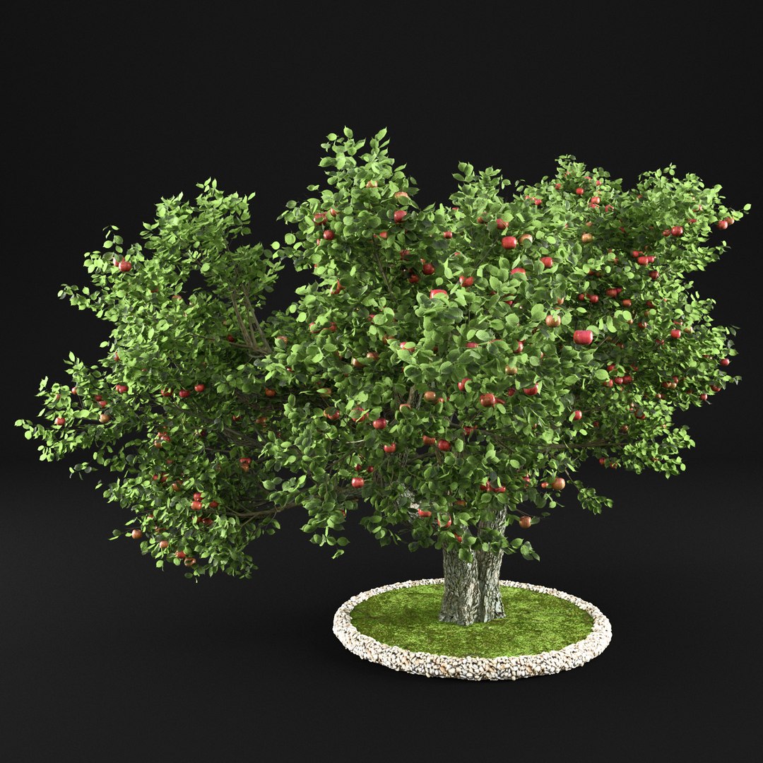 3D Apple Tree - TurboSquid 1159267