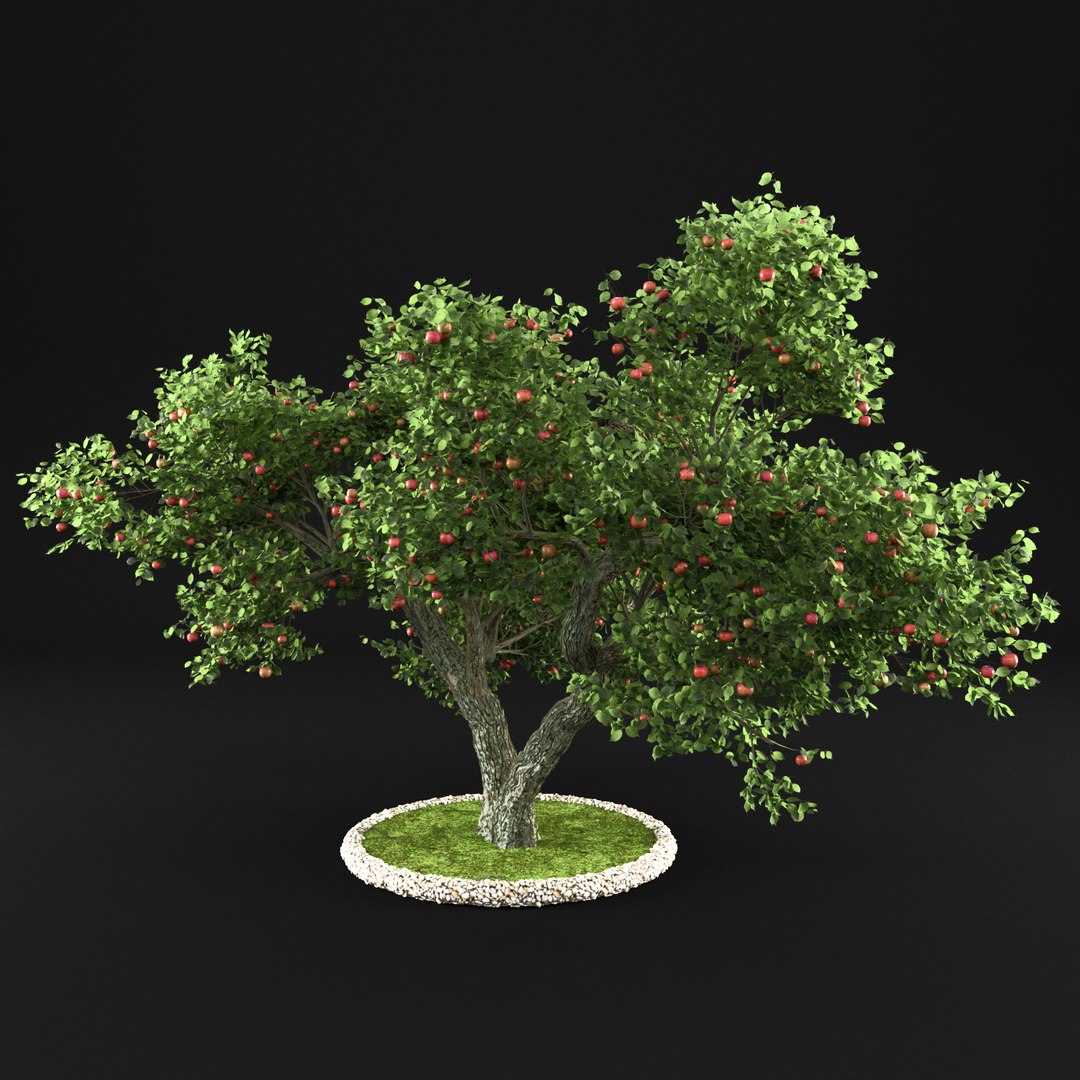 3D Apple Tree - TurboSquid 1159267