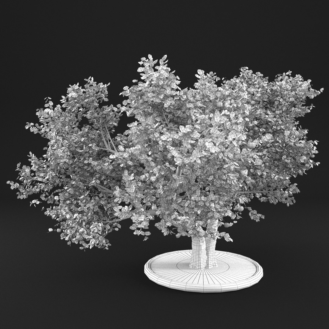 3D Apple Tree - TurboSquid 1159267
