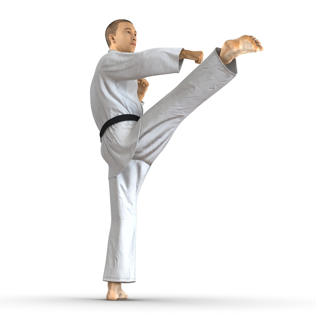 3d Model Japanese Karate Fighter Pose