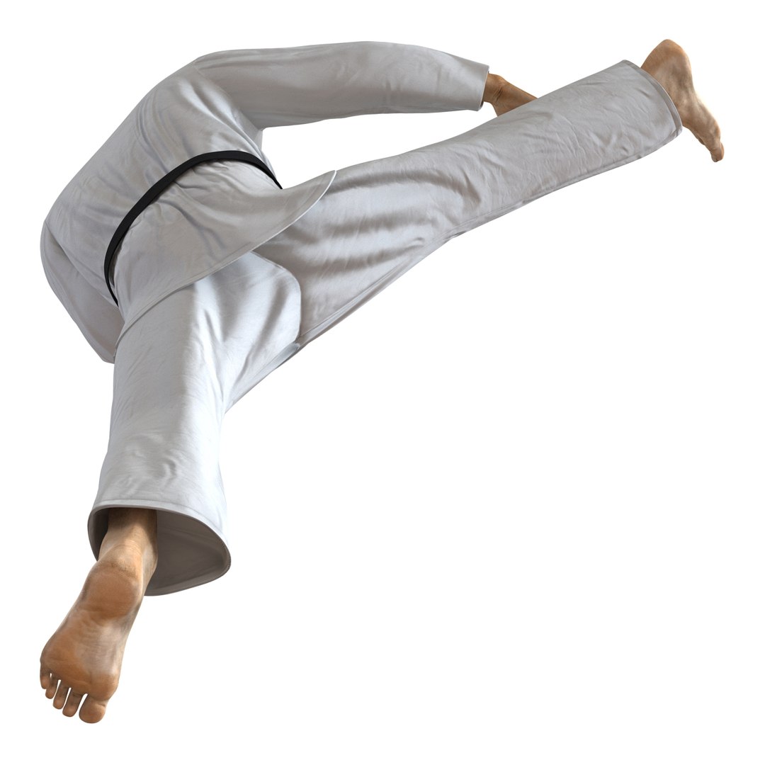 3d Model Japanese Karate Fighter Pose